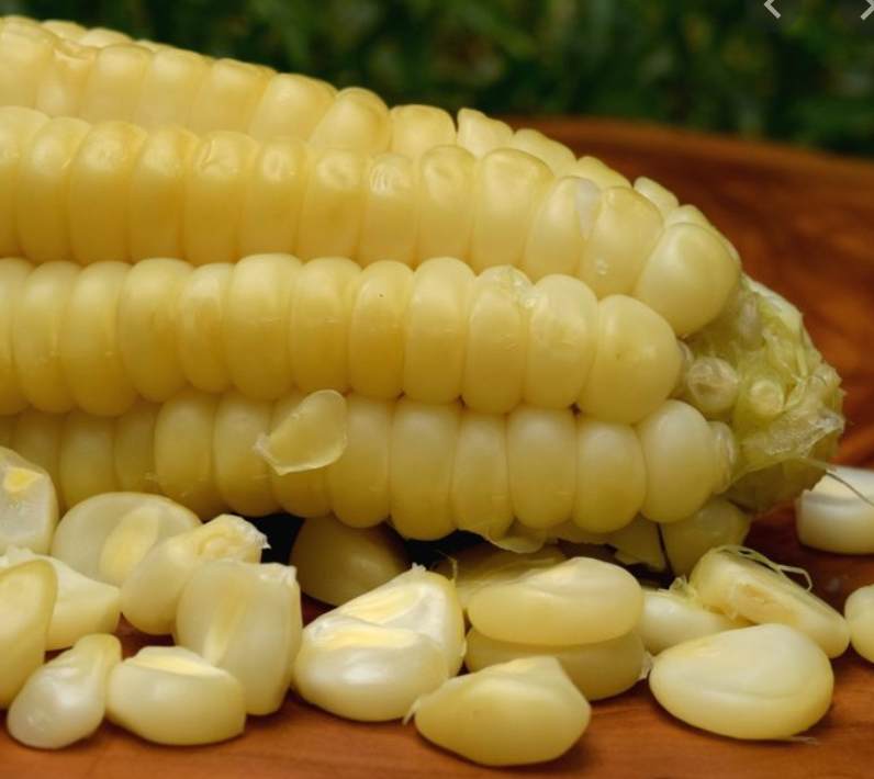 Peruvian Choclo Corn | Order Online: Inca's Peruvian Cuisine